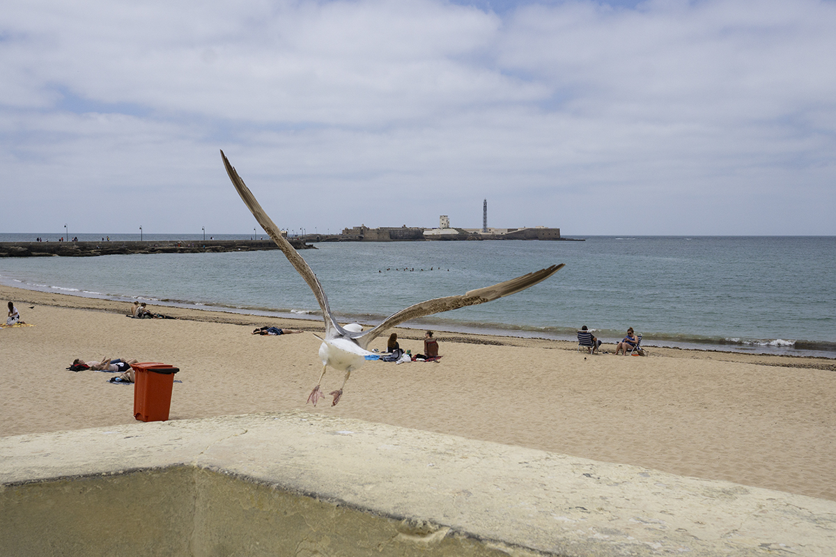 Cadiz – A Walk on the Promenade - E O